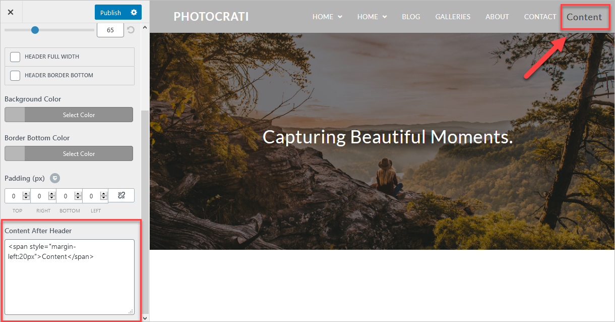 Main Header Settings
